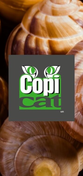 engargolados papeleria – Landing Copicat